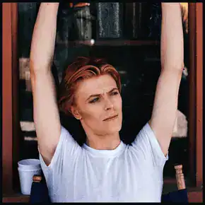 David Bowie World | Everything About Albums, Bootlegs & Tours